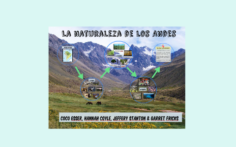 La naturaleza de los Andes by Coco Esser on Prezi
