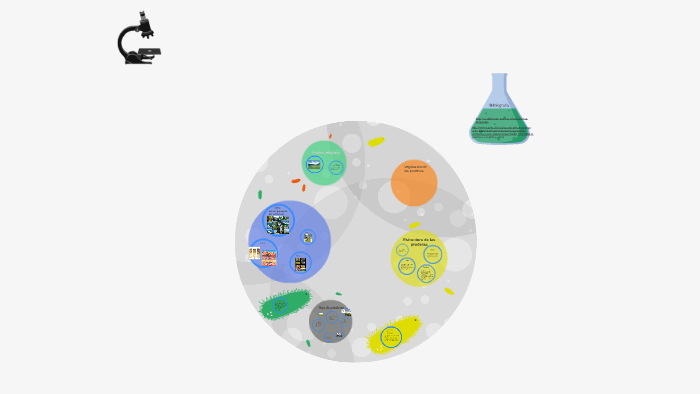 Pradera templada by dayana cardona on Prezi