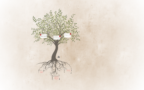 cause and effect by Janie Beck on Prezi