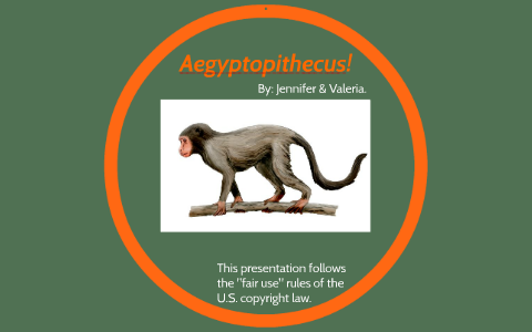 Aegyptopithecus! by Jenny Hernandez on Prezi