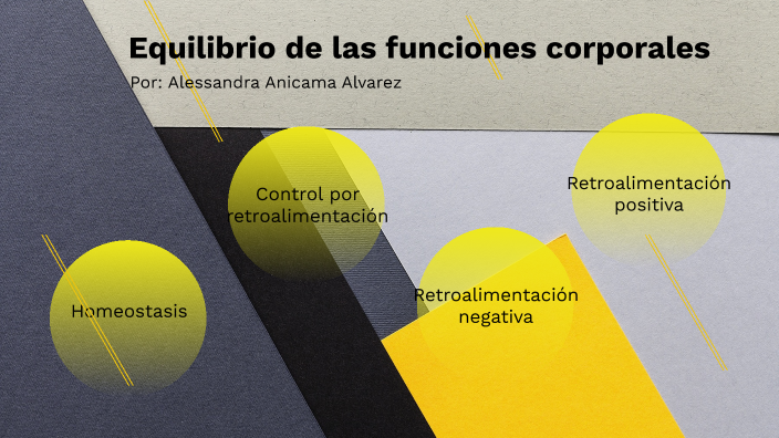 Equilibrio de las funciones corporales by Alessandra Anicama Alvarez on ...