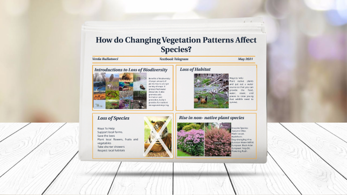 How do changing vegetation patterns affect species? by Verda Bullatovci ...