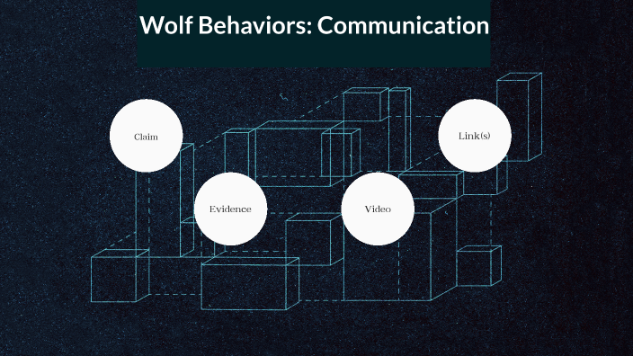 Wolf Communication by Pavell Jean-Louis on Prezi