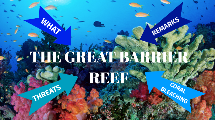 The great barrier reef by erica w on Prezi
