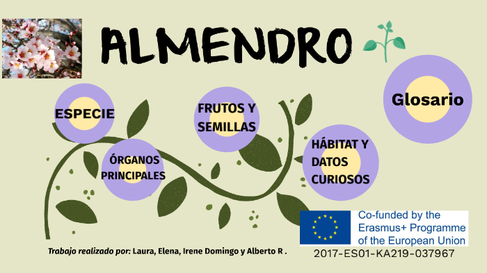 INVESTIGACIÓN DE LAS PLANTAS. by elena diez on Prezi