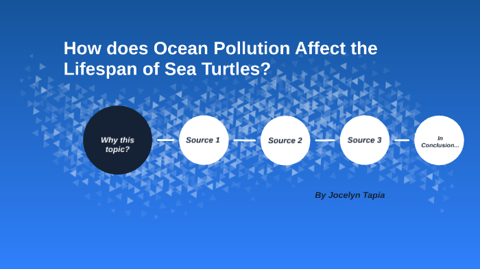 sea turtles research project by Jocelyn Tapia on Prezi
