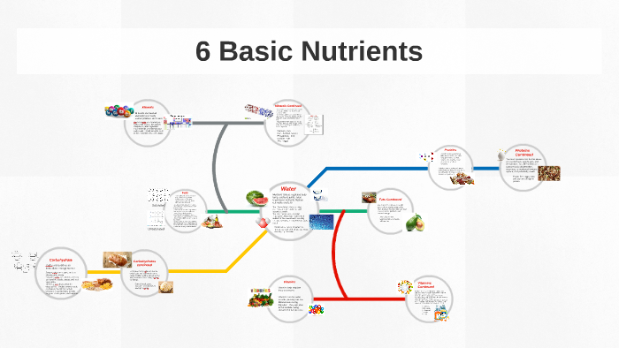 6 Basic Nutrients by Trey Cashon on Prezi