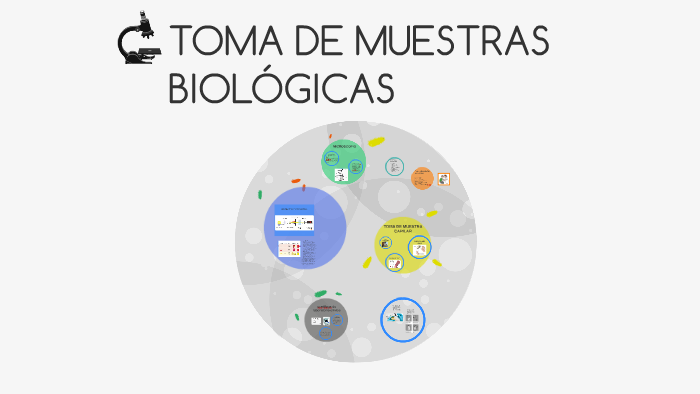 TOMA DE MUESTRA BIOLOGICAS by vanesa Cruz Arana on Prezi