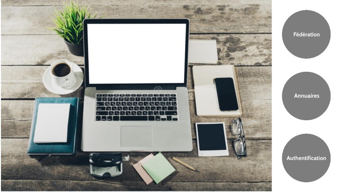 Préprésentation MFA by White Darkness Daimonee