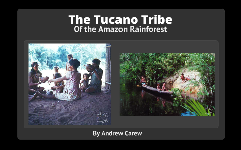The Tucano Tribe by Andrew Carew on Prezi
