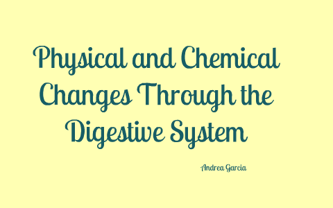 Physical and Chemical Change Through Digestive System by Andrea Garcia ...
