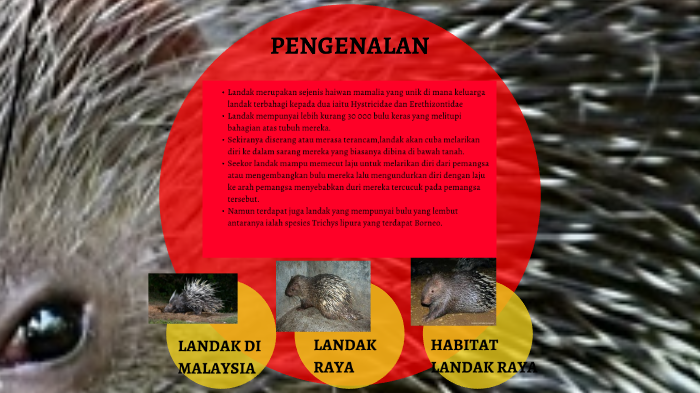 KURSUS PENTERNAKAN LANDAK RAYA by nazrul nekmat on Prezi