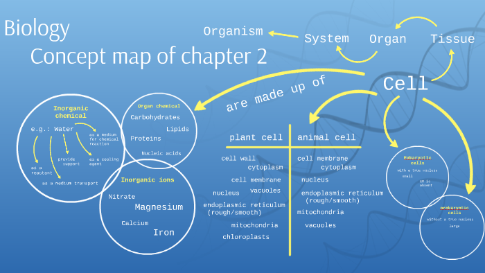 Biology concept map of chapter 2 by long hei ho on Prezi