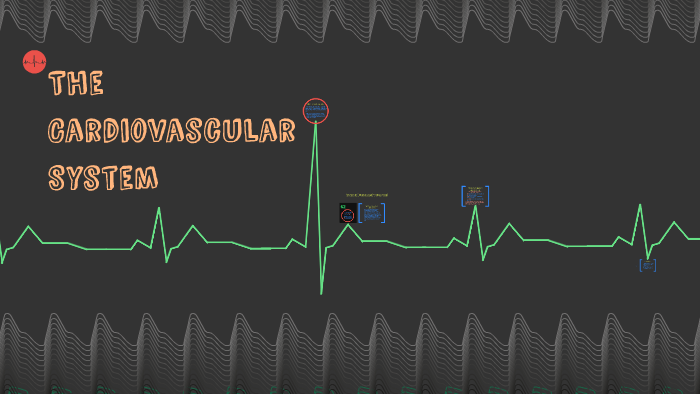 The Cardiovascular System by Grace Tubbs on Prezi