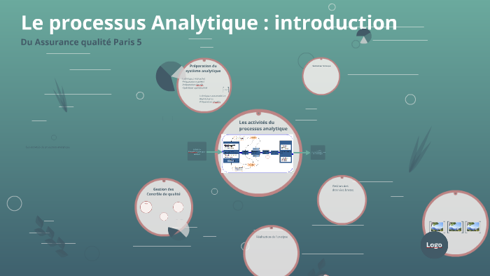 Le processus Analytique by celine bouchet on Prezi