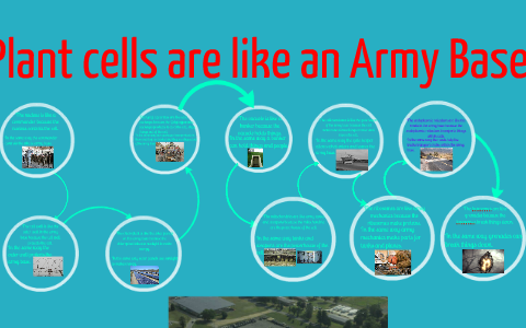 Plant cell are like an army base by Esteban Salcedo on Prezi