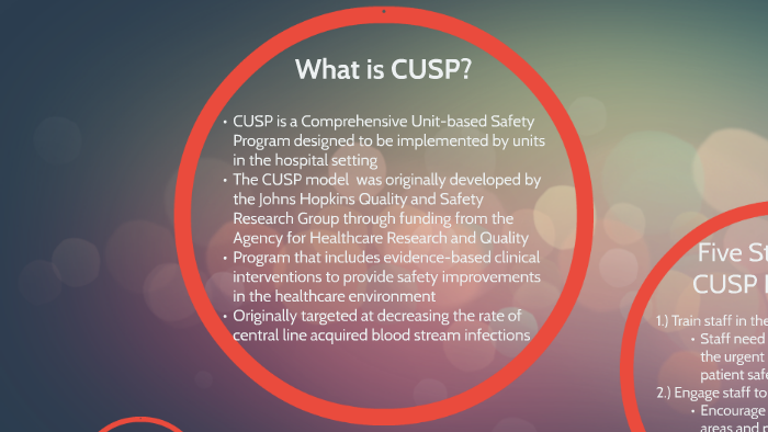Overview of Comprehensive Unit-Based Patient Safety Programs by Nicole Nash