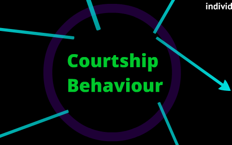 Courtship Behaviour by Emily Carlsson on Prezi