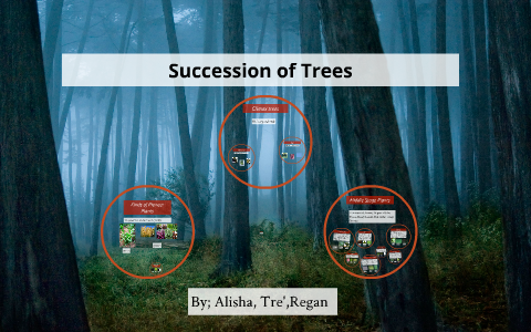 Succession of Trees by alisha corrigan on Prezi
