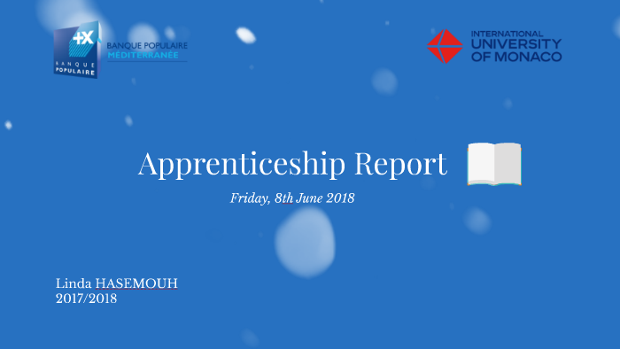 The Apprenticeship Report by linda h