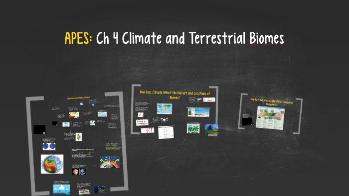 APES Ch 4: Climate and Terrestrial Biomes by Valerie Head on Prezi