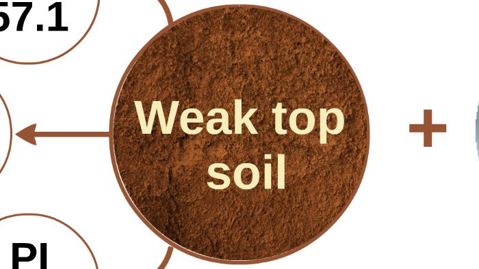 Weak soil by Dania Jaradat on Prezi