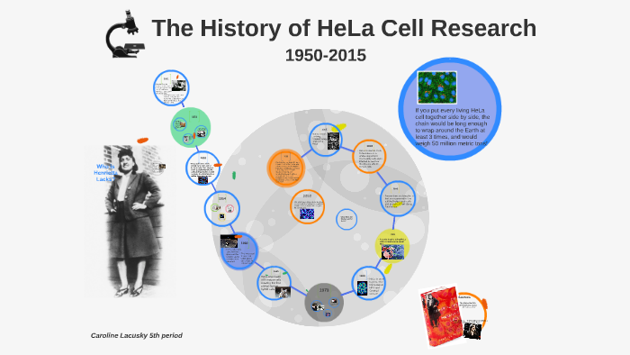 The History of HeLa Cell Research by Caroline Lacusky on Prezi