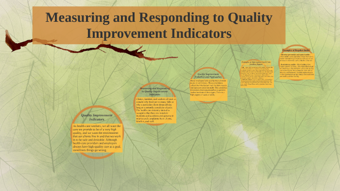 Measuring and Responding to Quality Improvement Indicators by Bobbie ...