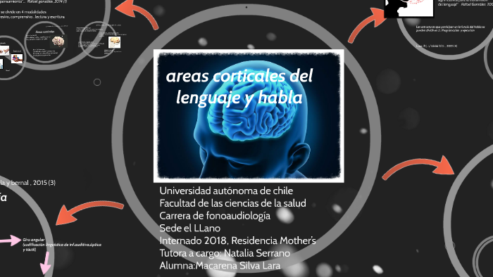 areas corticales del lenguaje y habla by macarena silva on Prezi