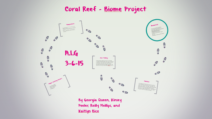 Coral Reef -Biome Project by georgia queen on Prezi