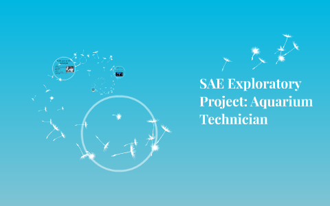 SAE Exploratory Project by Devin Schelin on Prezi