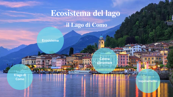 Ecosistema del lago by Bianca Lucarelli on Prezi