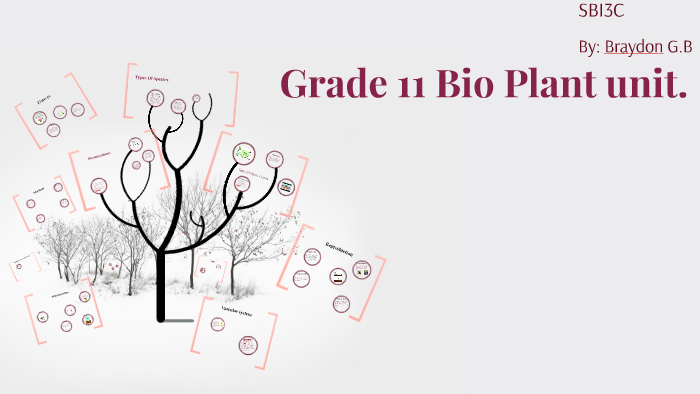 Grade 11 Bio PLant unit by braydon gorrman on Prezi