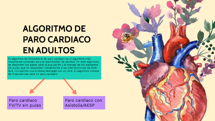 Algoritmo de Paro Cardiaco en Adultos by Cindy Melendez on Prezi