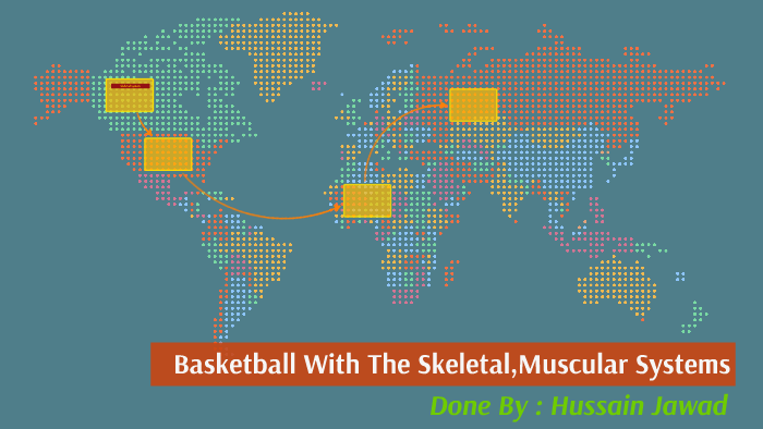 Basketball And The Skeletal,Muscular Systems by Hussain Jawad on Prezi