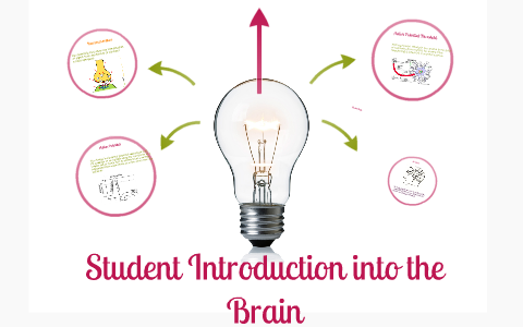 Student Introduction into The Brain by Stephanie Seabrooks on Prezi