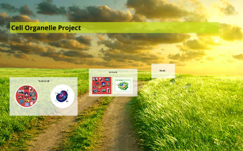Cell Organelle Project by Haide Verdin on Prezi
