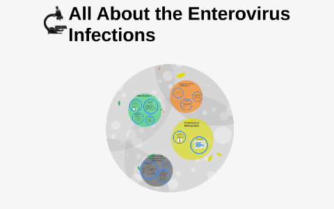 All About the Enterovirus Infections by Sherri Taft