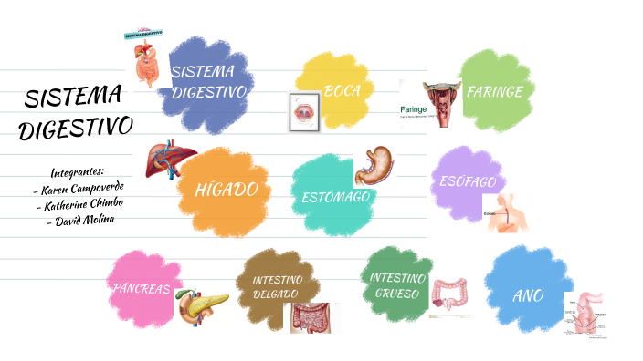 Sistema Digestivo by Darwin Molina on Prezi