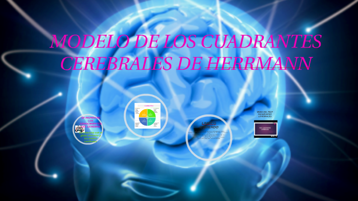 MODELO DE LOS CUADRANTES CEREBRALES DE HERRMANN by nelly alcocer on Prezi