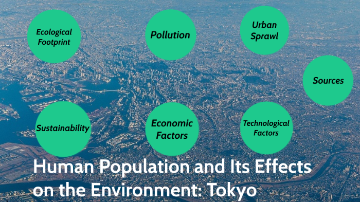 Human Population and Its Effects on the Environment by Andres Quesnel ...