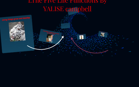 1.The Five Basic Life Functions by REBECCA BAGGETT on Prezi