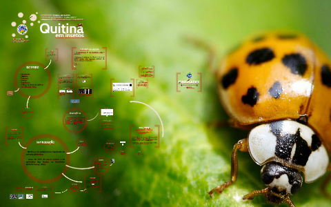 Quitina em insetos by Juliano Pazini on Prezi