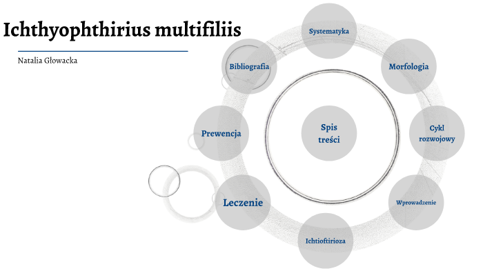 Ichthyophthirius multifiliis by N G on Prezi