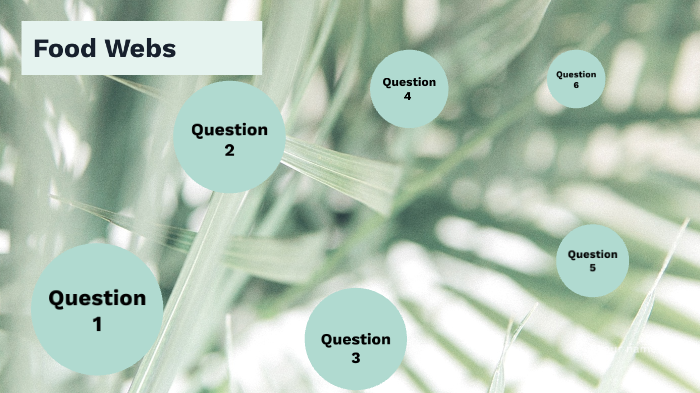 Food Web Questions by ᴢʜᴀɴɪᴀ sᴄᴜʟʟ ツ on Prezi