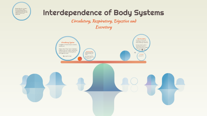Interdependence of Body Systems by Lisette Hernandez on Prezi
