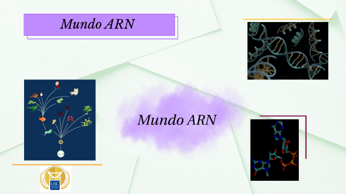 Mundo ARN by Daniela Cifuentes Velasco on Prezi
