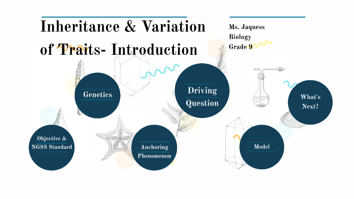 Intro to Inheritance & Variation of Traits by Hayley Jaquess on Prezi