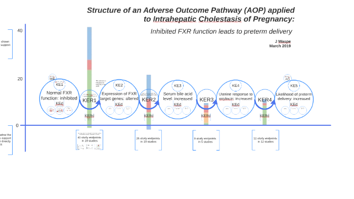 AOP structure by jenny waspe on Prezi