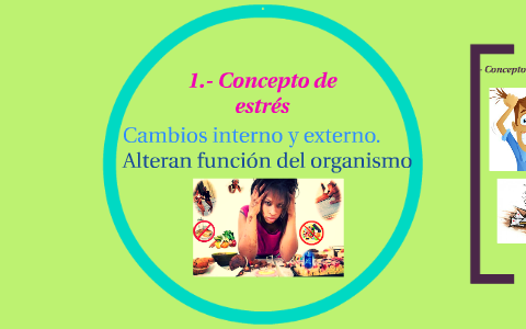 Cambios interno y externo. by Micaela Yandun on Prezi